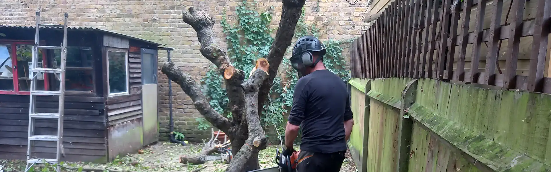 Tree Removal London | London Tree Surgeons