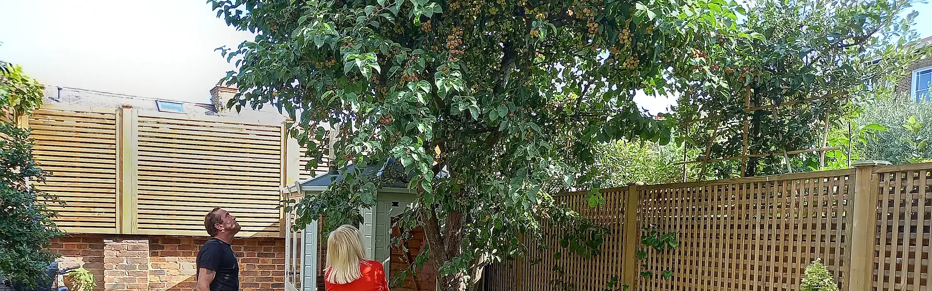 Tree Surveys London | London Tree Surgeons